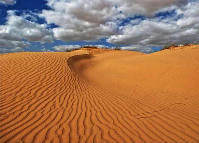 O Que é Maná? Qual o Significado do Maná na Bíblia?