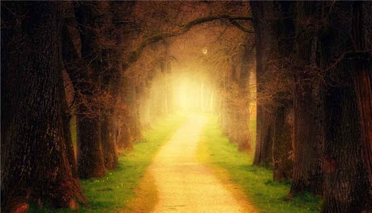 O Que Significa "Veredas da Justiça" na Bíblia?